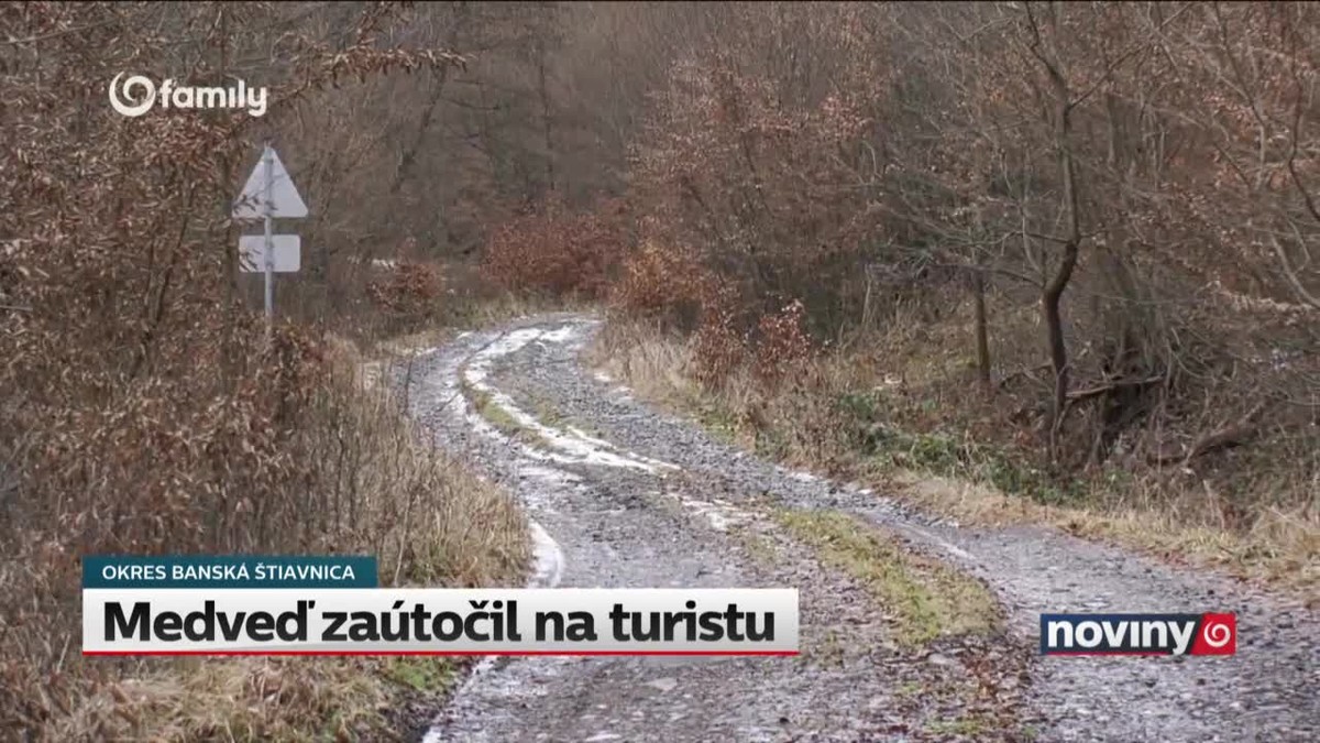 Medveď zaútočil na turistu