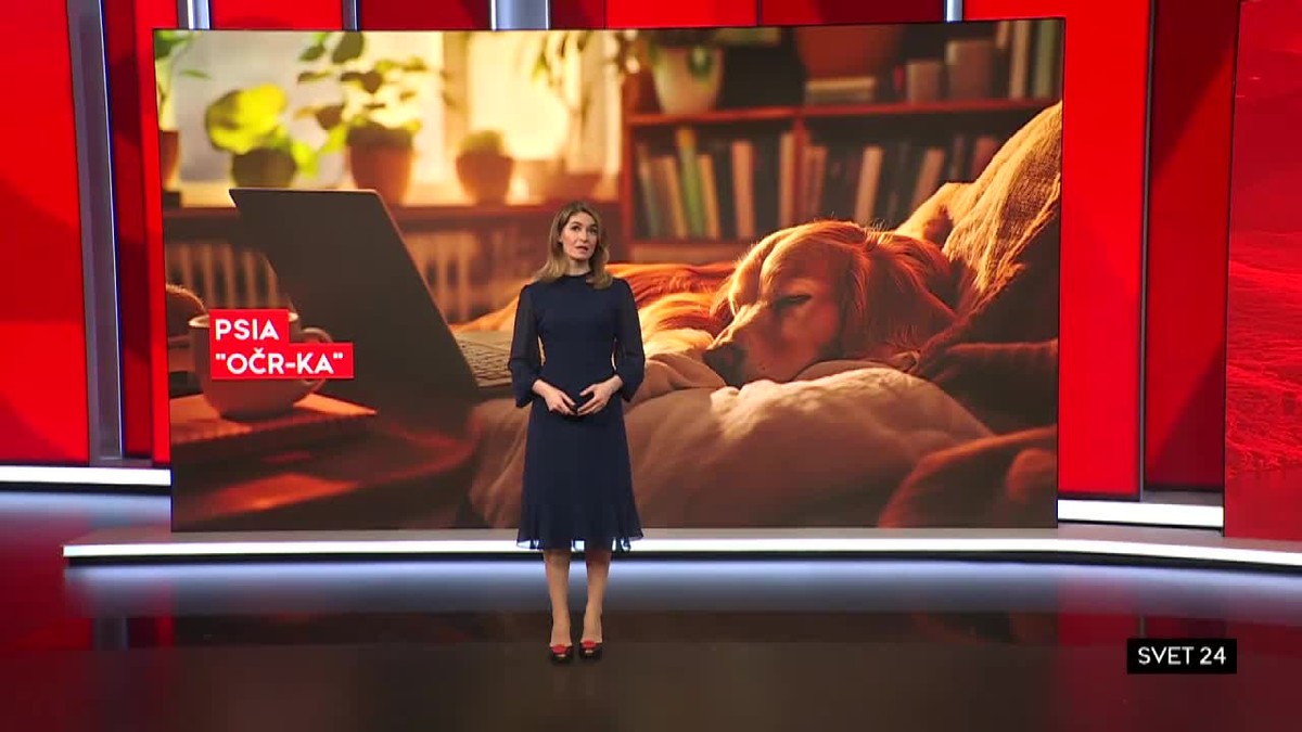 Svet 24 o čajovej kultúre, ako aj o vzniku života na Zemi