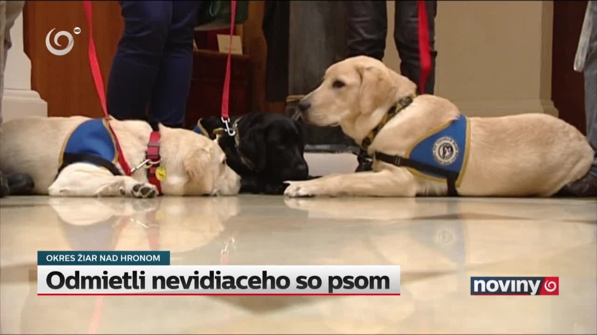 Odmietli nevidiaceho so psom