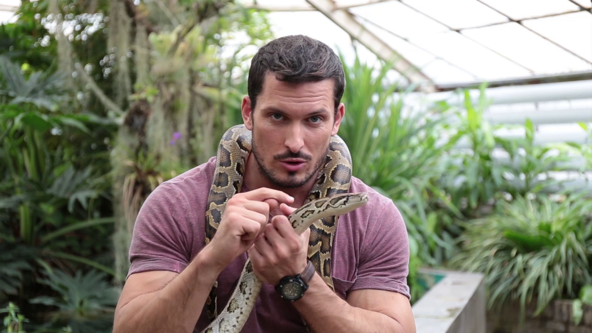 Vedeli ste, že...? Herci zo seriálu ZOO vám prezradia zaujímavosti zo ...