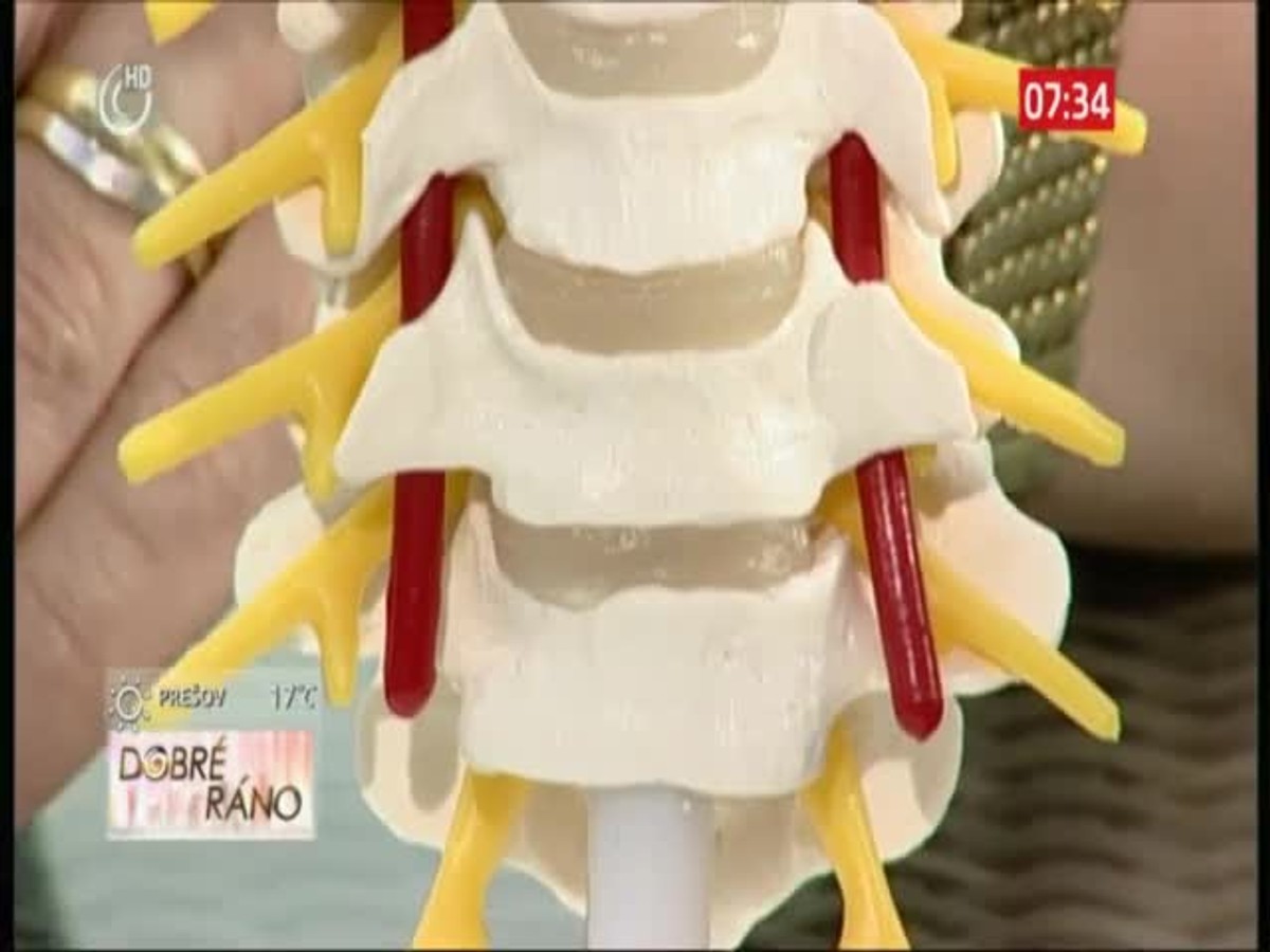 Nová liečba poranení miechy: Lekári i pacienti hlásia zlepšenie stavu ...