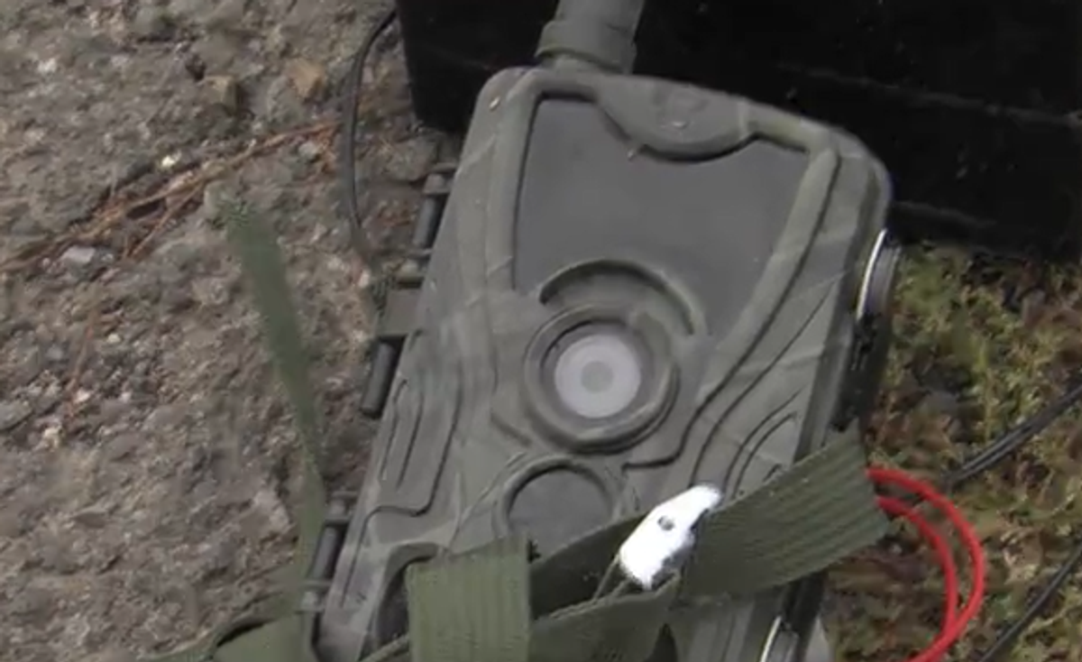 Zver lovil krutým spôsobom. Pytliak sa bude zodpovedať na súde