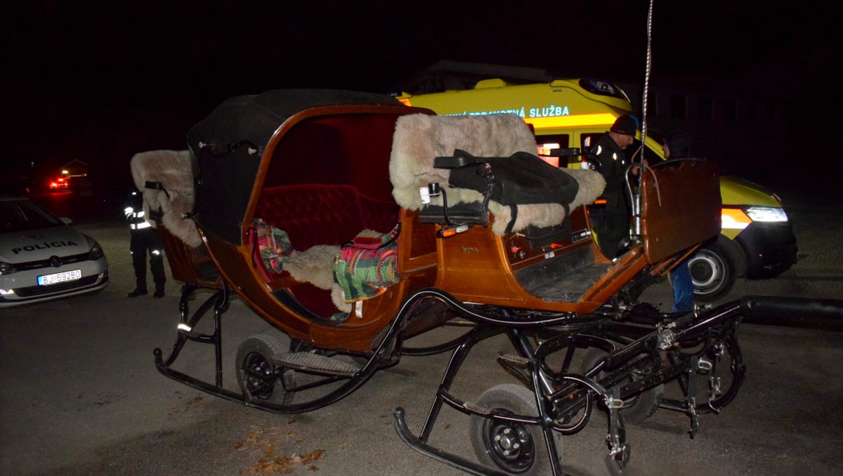 Bizarná nehoda: Do zaparkovaného auta narazil pohonič s koňmi