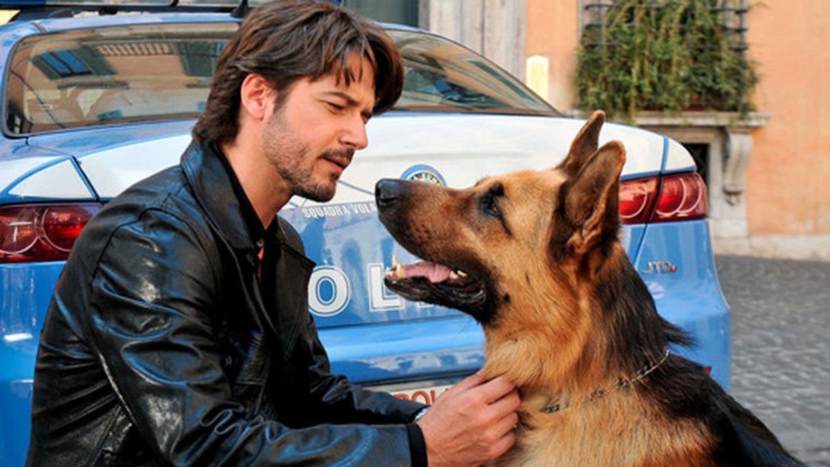 Rex sa vracia! Štvornohý komisár bude riešiť ďalšie nevšedné prípady | JOJ