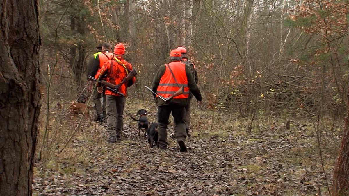 [multi] Polovnici vynimka 3759 | Poľovníci môžu aj mimo okres a ...
