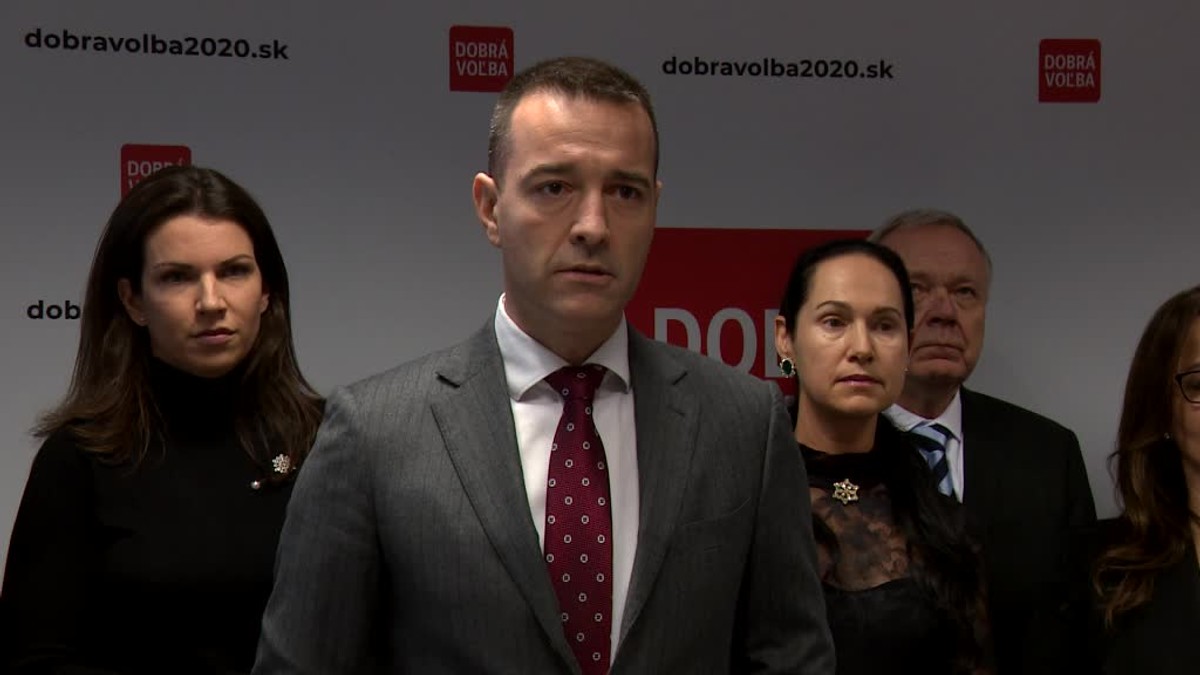 Volebný program zverejnila aj Druckerova Dobrá voľba. Predstavili sedem ...
