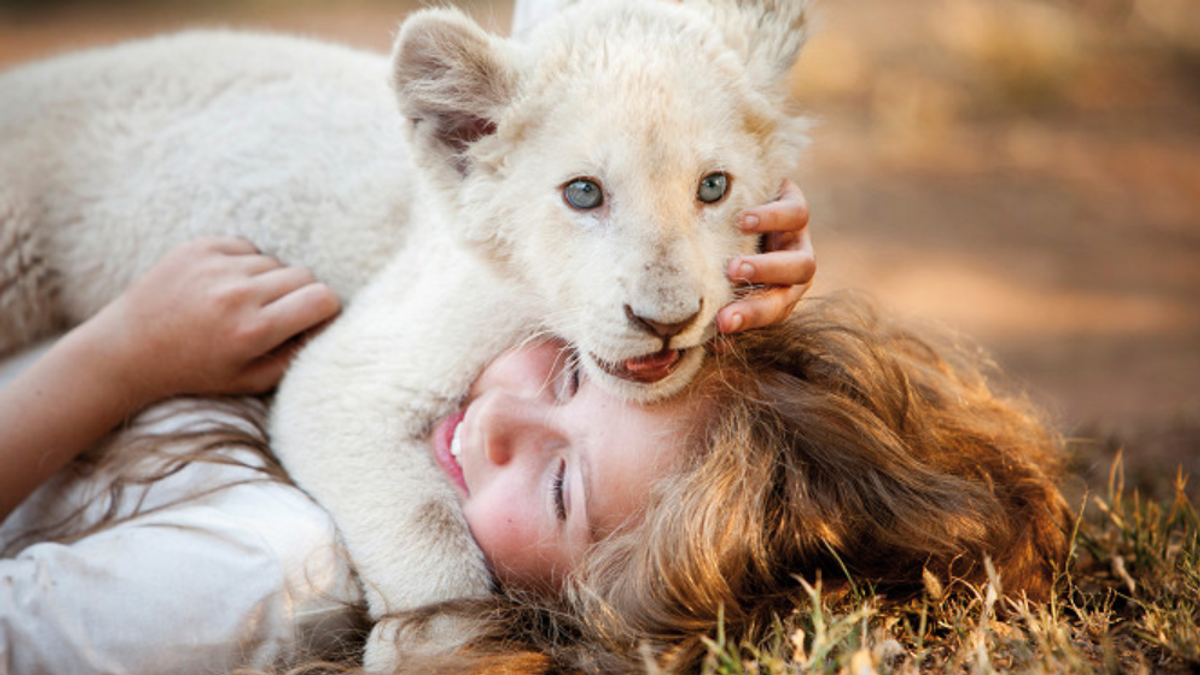 Príbeh z filmu Mia a biely lev je skutočný: Detskí herci naozaj ...