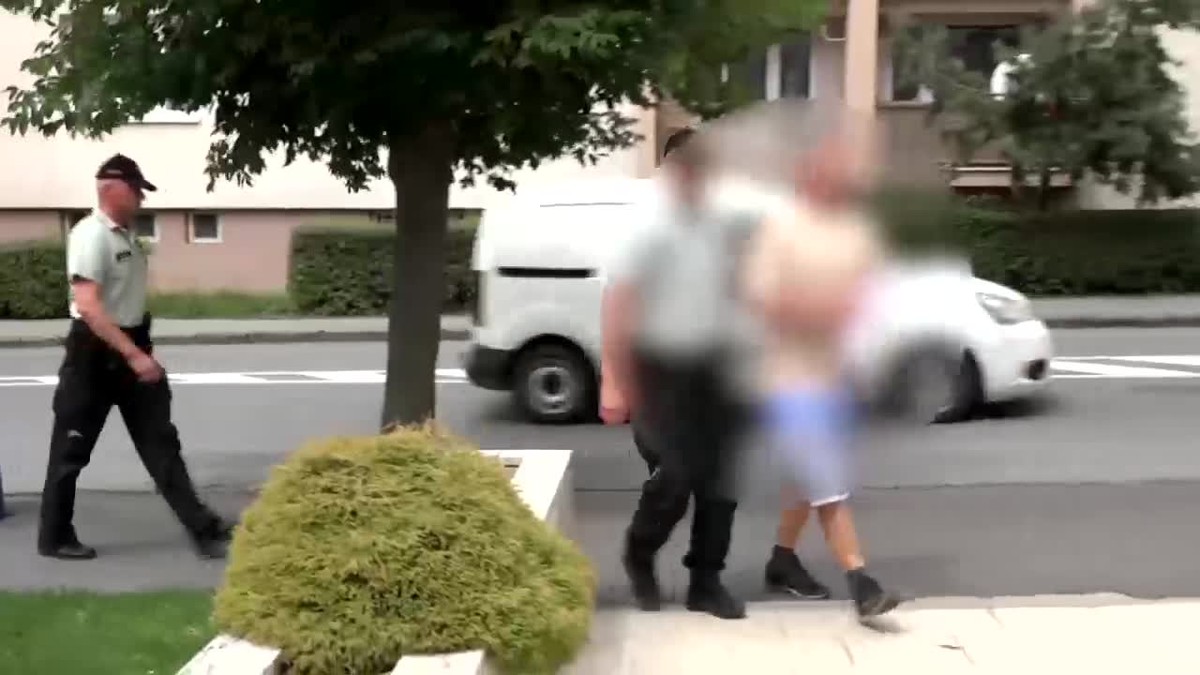 Mobil v ruke, alkohol v krvi a vodičák nikde. Vodič mal policajtom čo ...