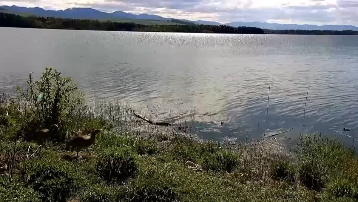 Nebezpečné stúpanie hladiny: Voda berie so sebou aj to, čo by nemala