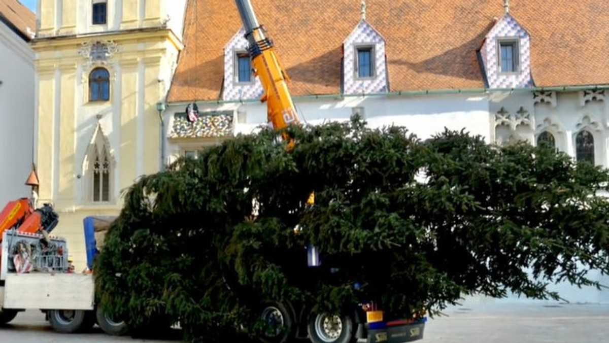 Symbol Vianoc už v hlavnom meste stojí. Odborníci sa ale obávajú, aby ...