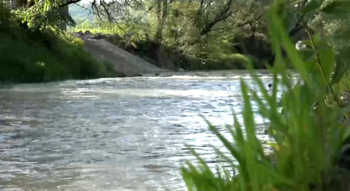Polícia pátrala po mužovi. Jeho telo vyplavila rieka Laborec