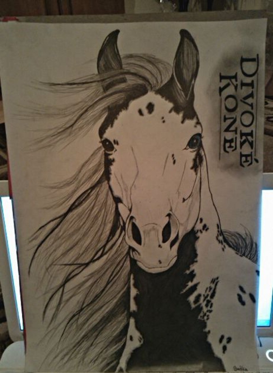 Barbora Lukáčová - atelier, 2. miesto | JOJ S VAMI