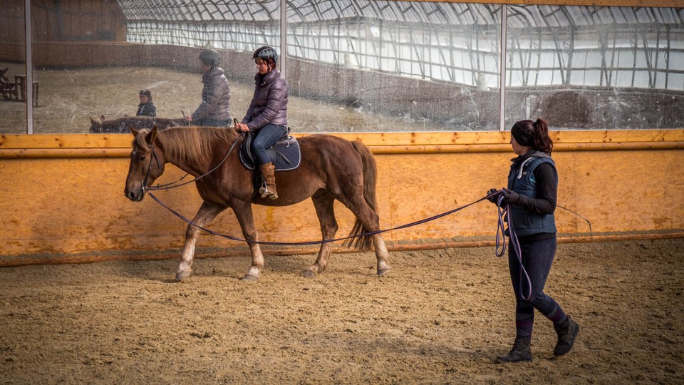Divoké kone jazda | JOJ S VAMI