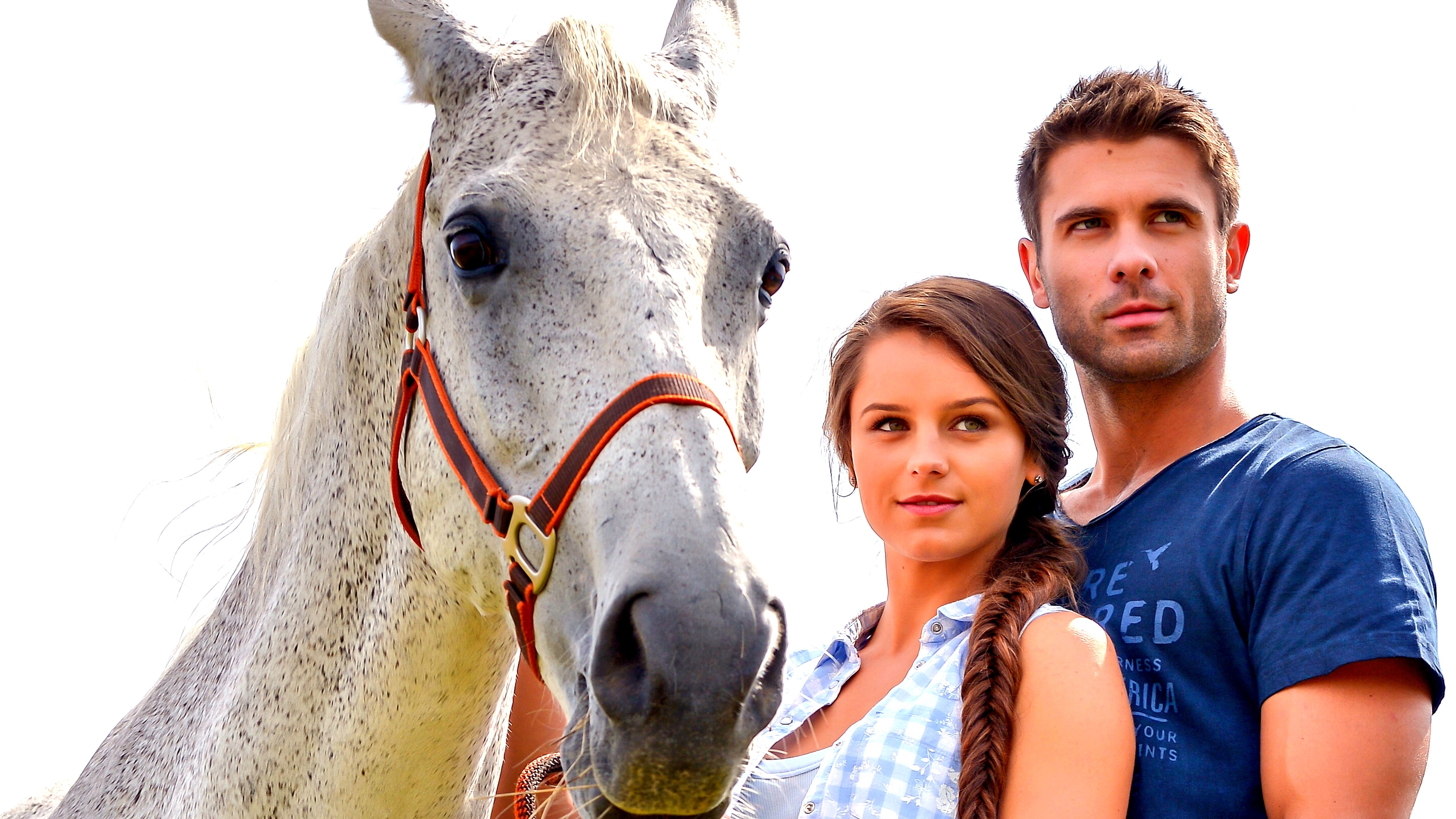 Seriál Divoké kone už má titulnú pieseň! | Showbiznis | Topstar.sk