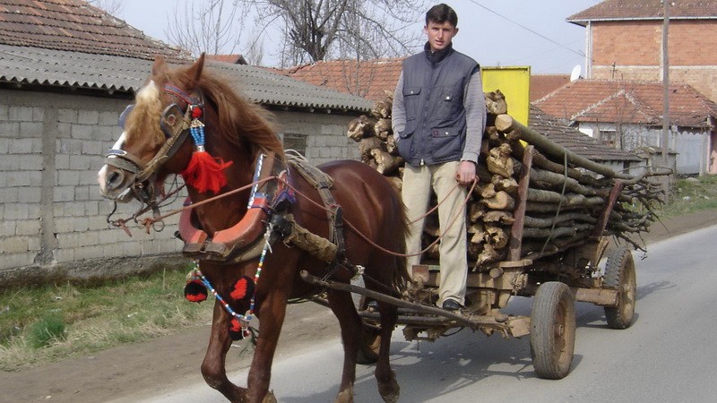 Packa: Kone a konské povozy nepatria na cesty 1. triedy | Krimi | Noviny.sk